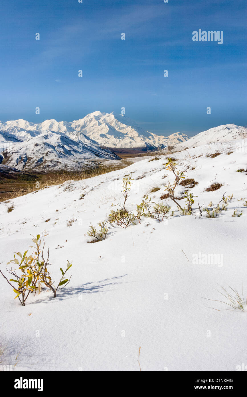 An early September snow in Highway Pass with Denali (formerly Mt ...