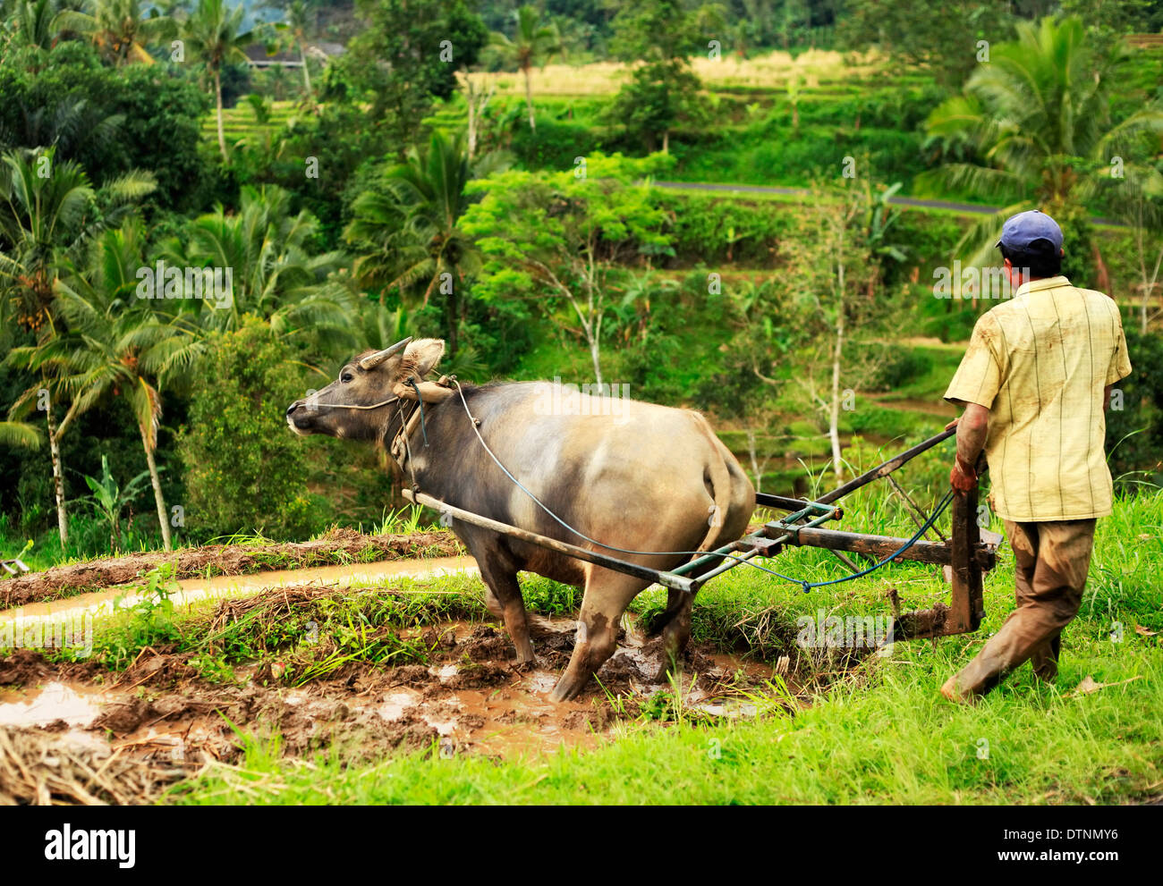 Man farmer farming lead hi-res stock photography and images - Alamy