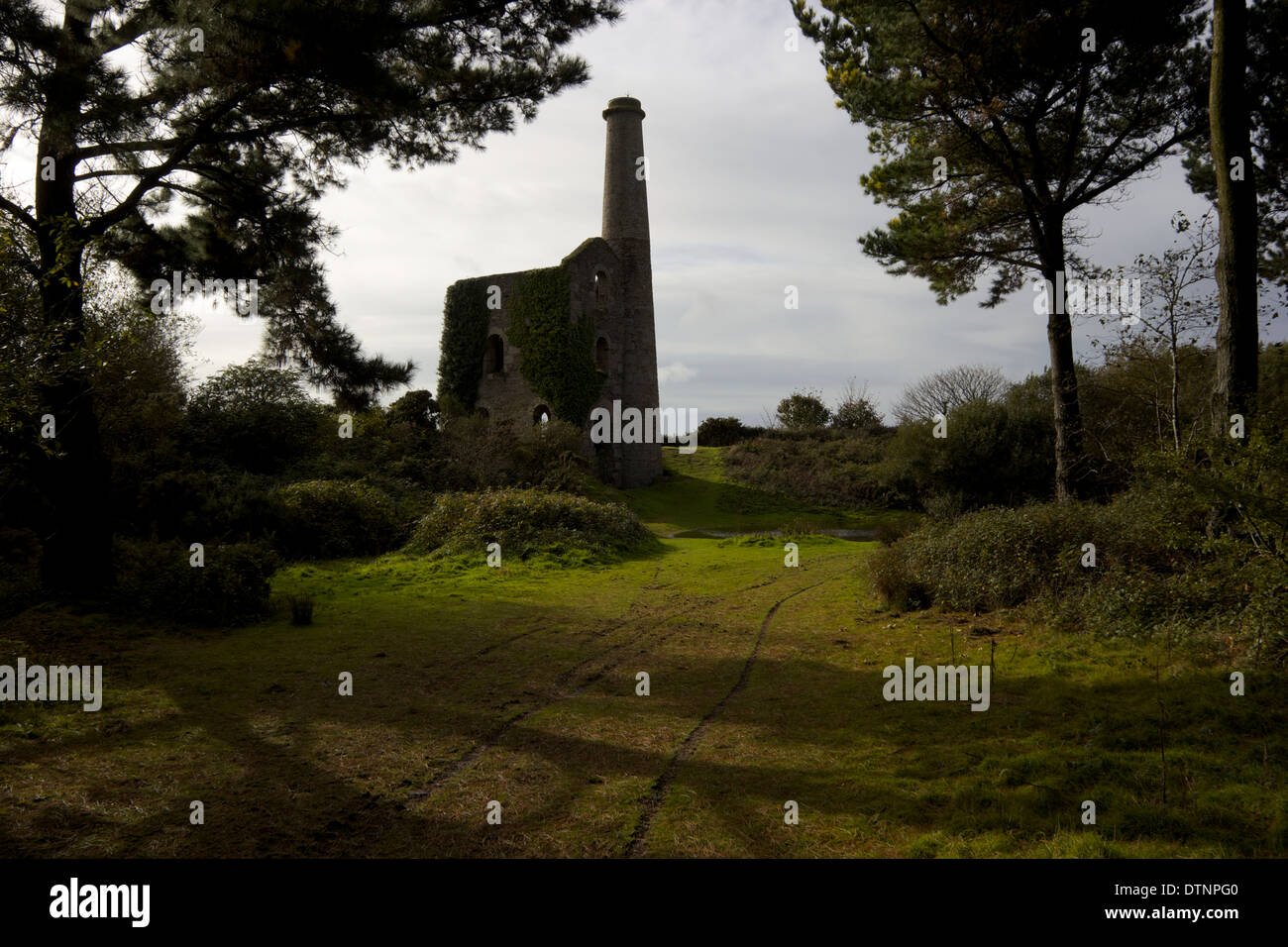 The Ale & Cakes Mine at St. Day in Cornwall Stock Photo - Alamy