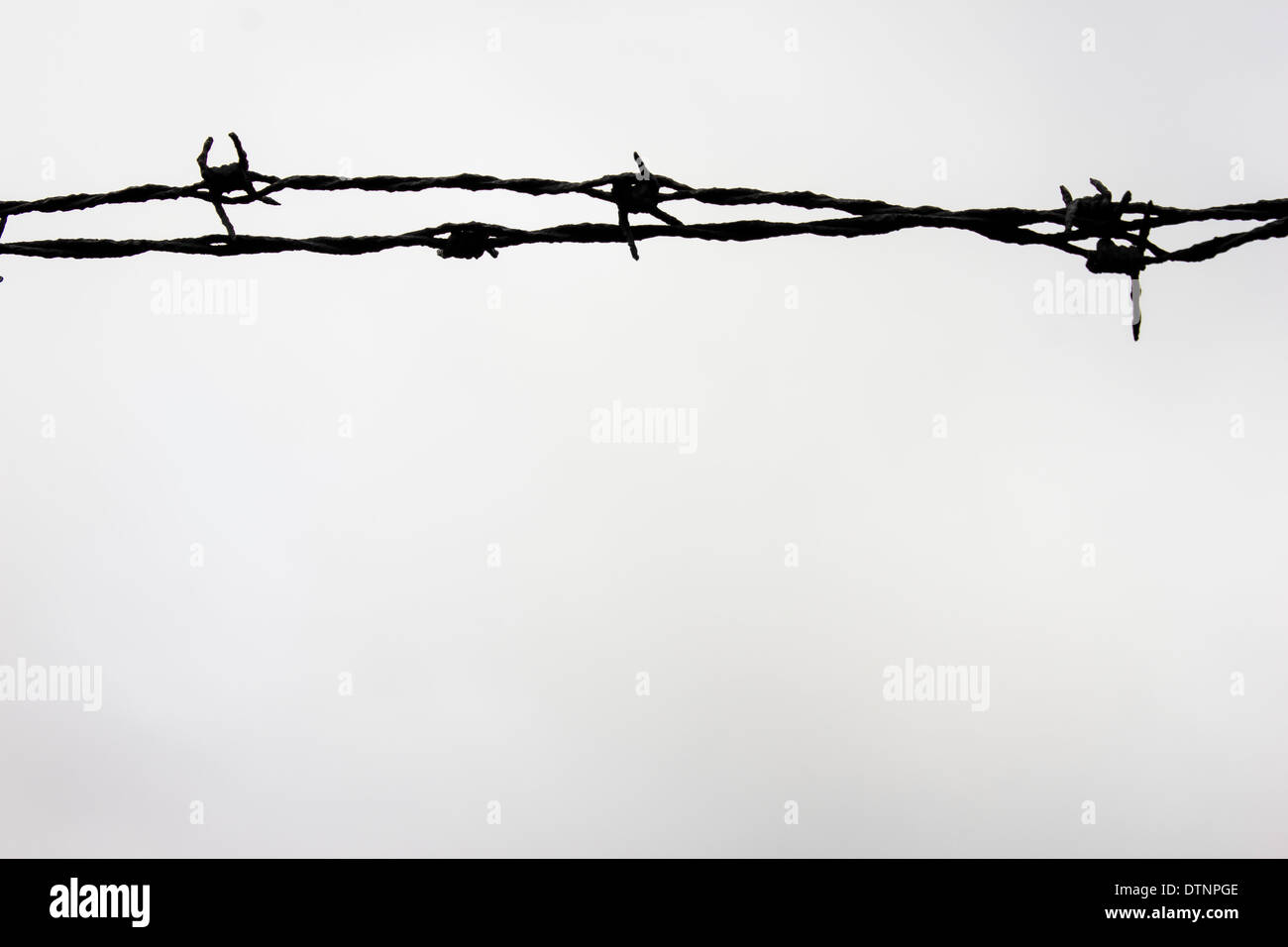 Barbed wire backlit Stock Photo - Alamy