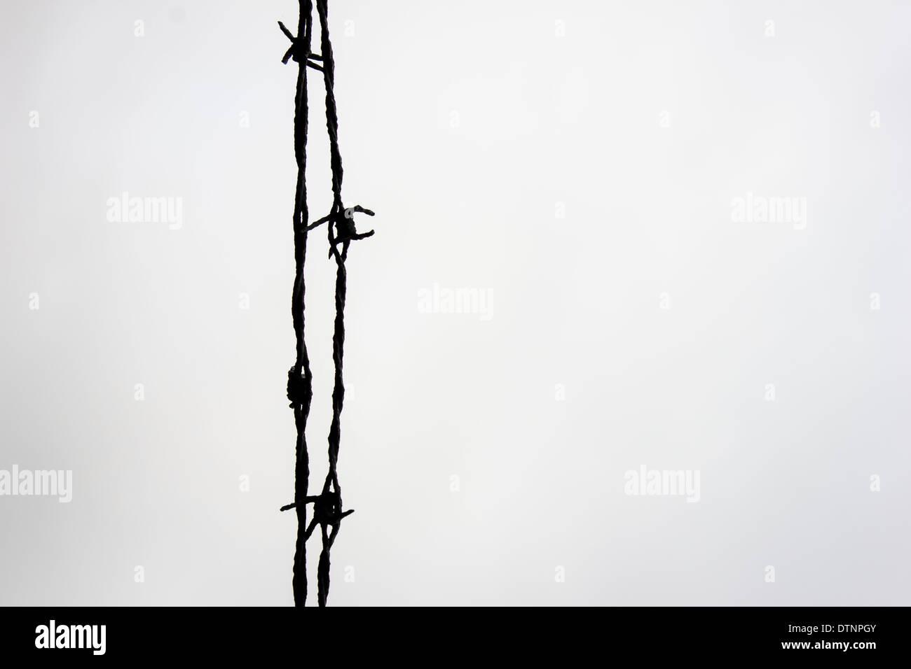 Barbed wire backlit Stock Photo - Alamy