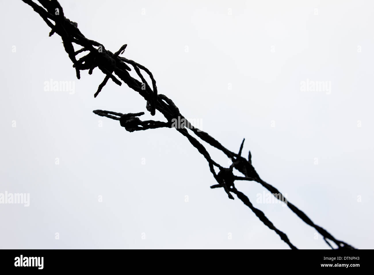 Barbed wire backlit Stock Photo - Alamy