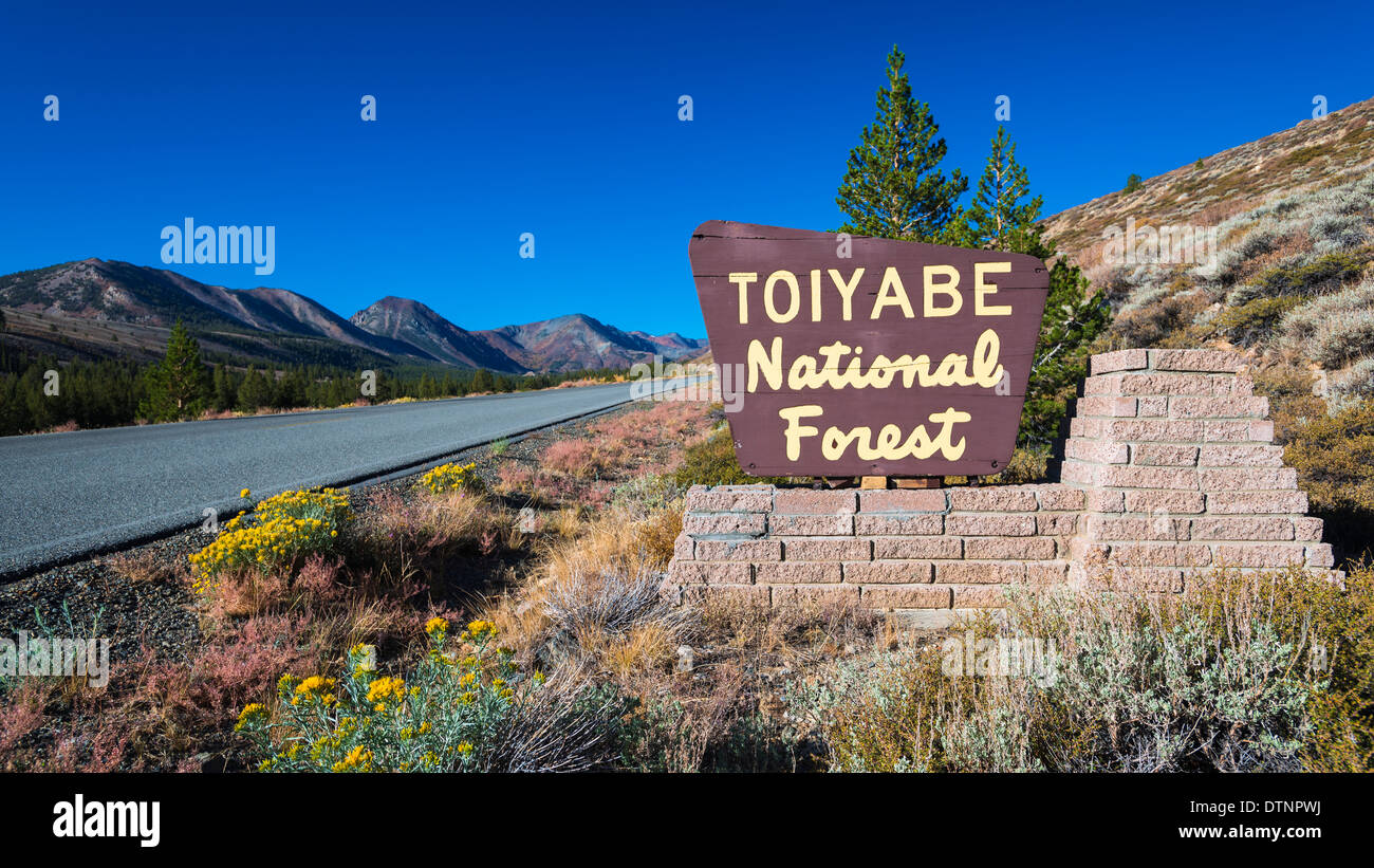 Entrance sign, Toiyabe National Forest, Sierra Nevada Mountains ...