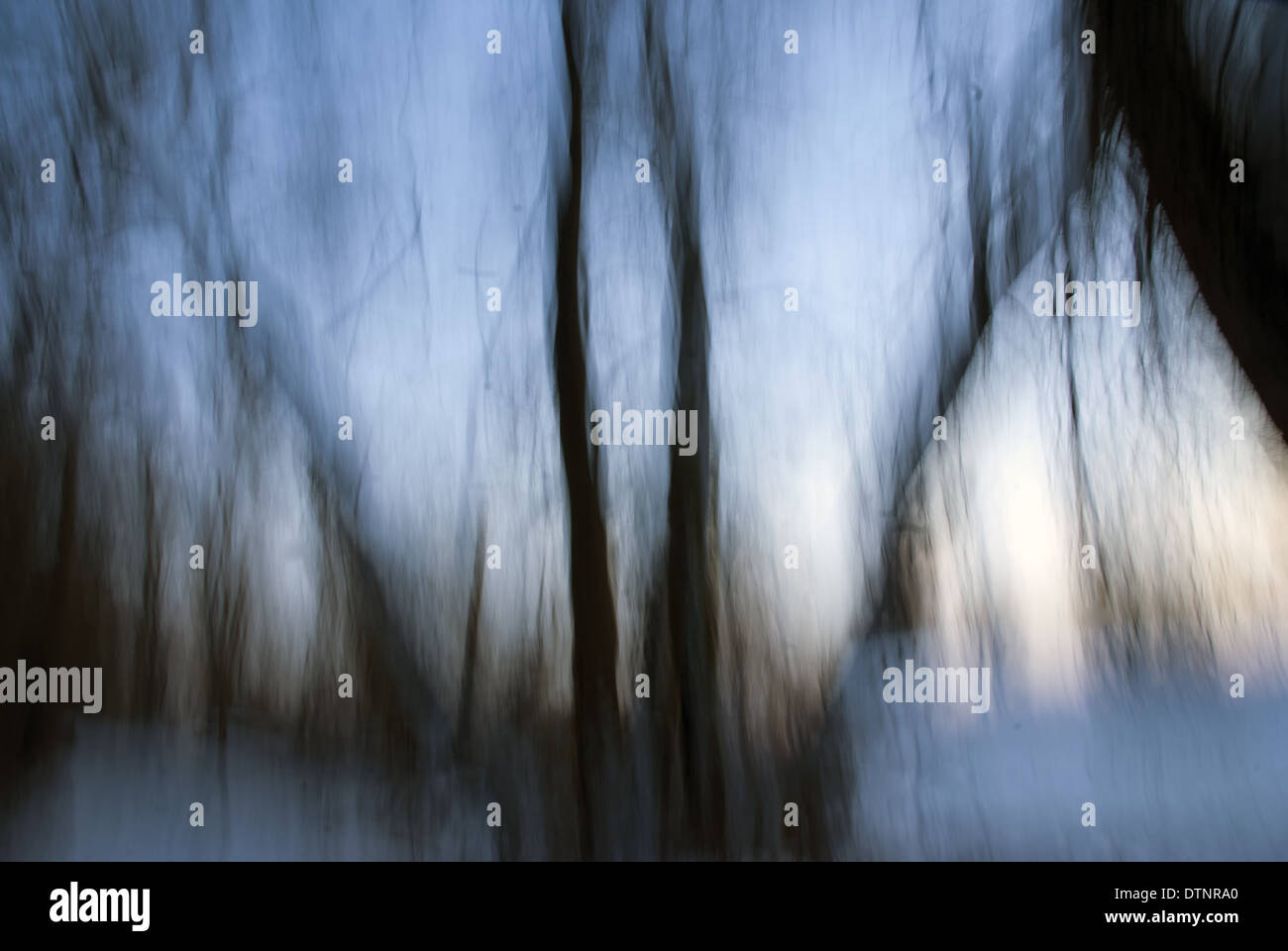 Shadow f tree hi-res stock photography and images - Alamy