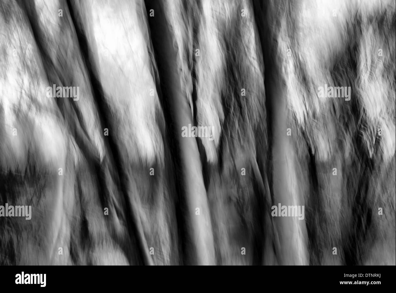 The evening times Black and White Stock Photos & Images - Alamy