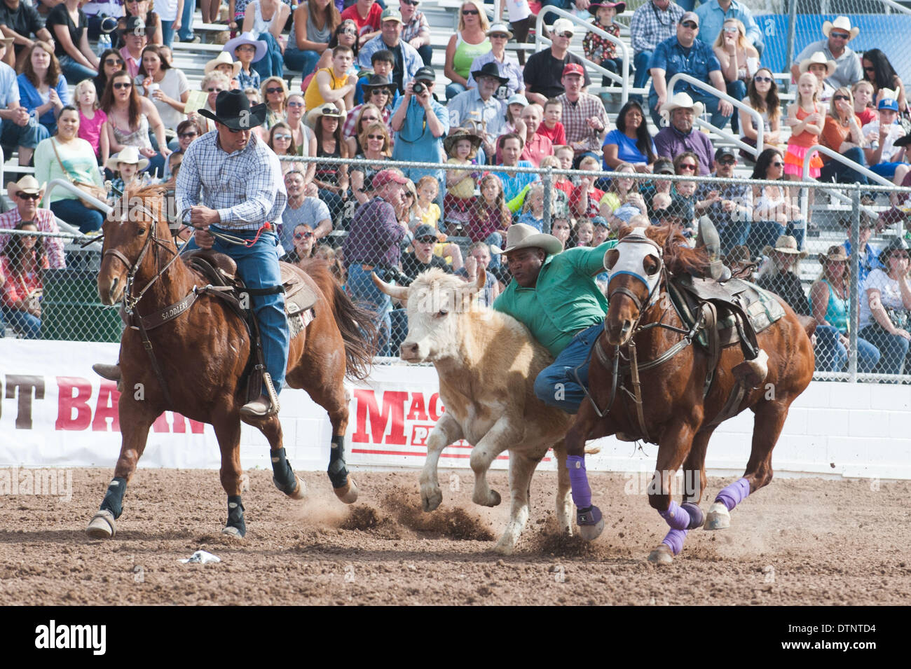 Tommy cook hi-res stock photography and images - Alamy