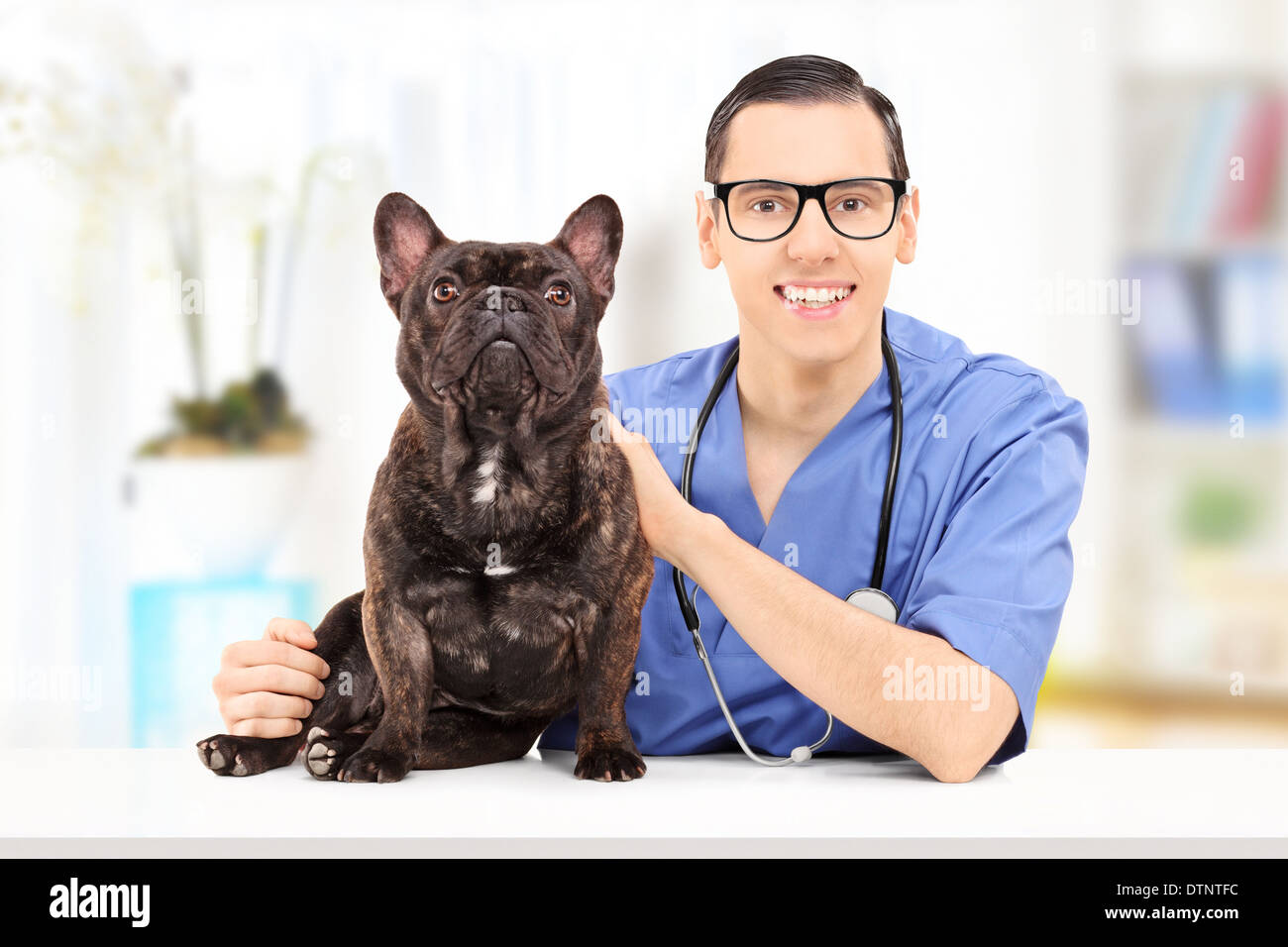 Young male veterinarian doctor posing with bulldog on table in his ...