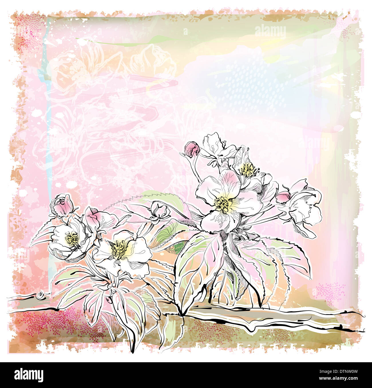 Tree blooming in garden Cut Out Stock Images & Pictures - Alamy