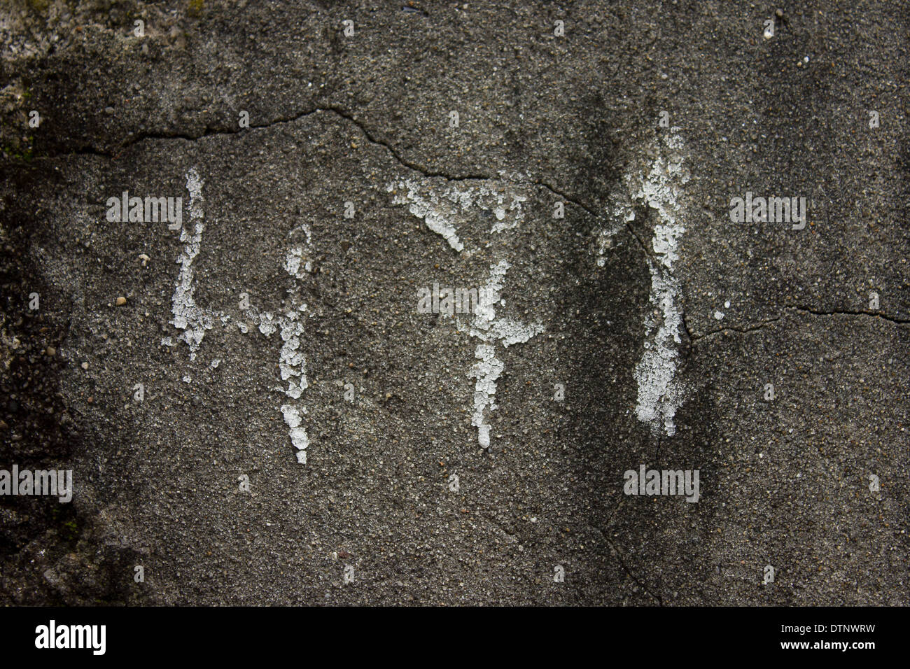 Door number 471 hi-res stock photography and images - Alamy