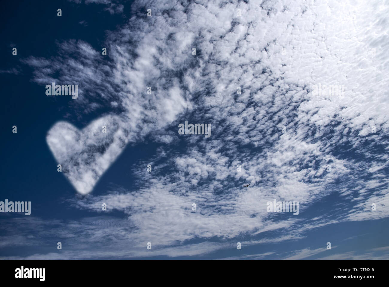 From heart of the earth hi-res stock photography and images - Alamy