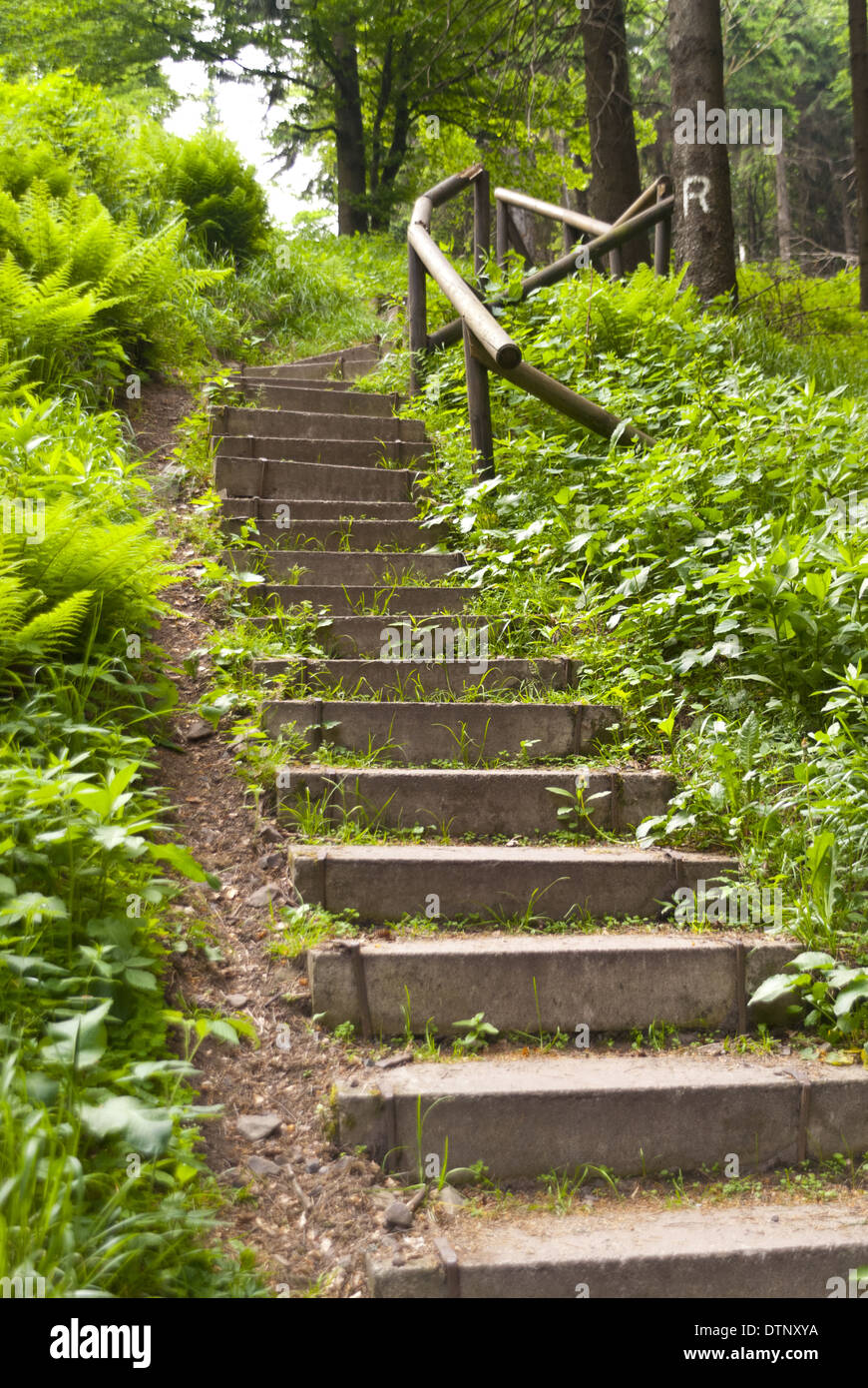 Rennsteig wanderweg hi-res stock photography and images - Alamy