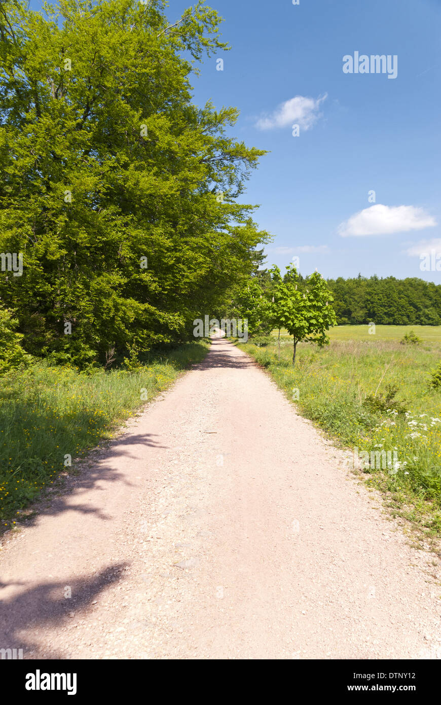 Hiking Trail Rennsteig, Germany Stock Photo - Alamy
