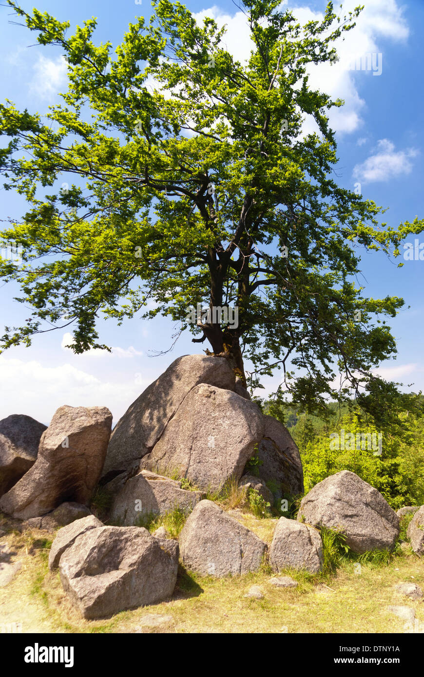 Hiking Trail Rennsteig, Germany Stock Photo - Alamy