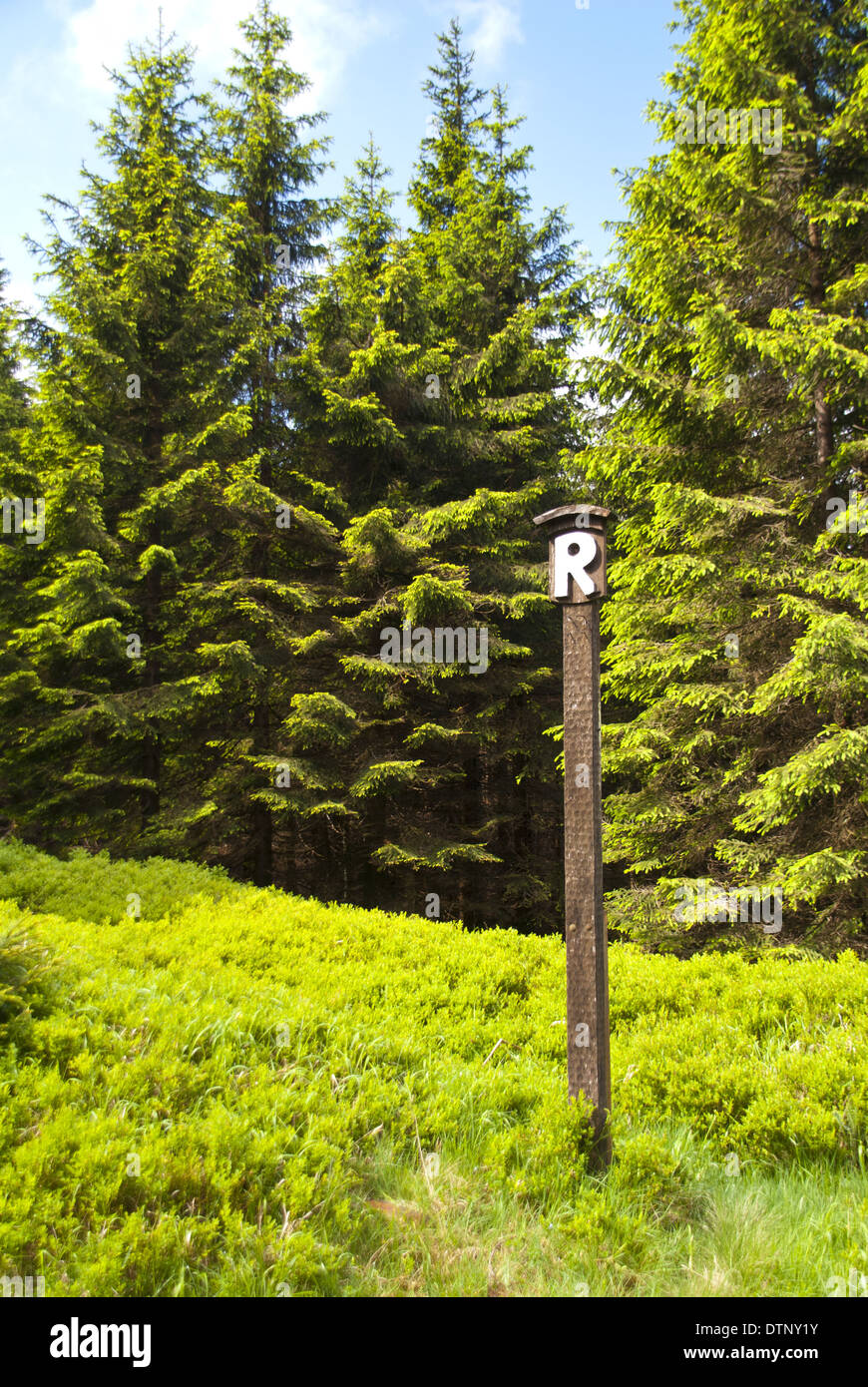 Hiking Trail Rennsteig, Germany Stock Photo - Alamy