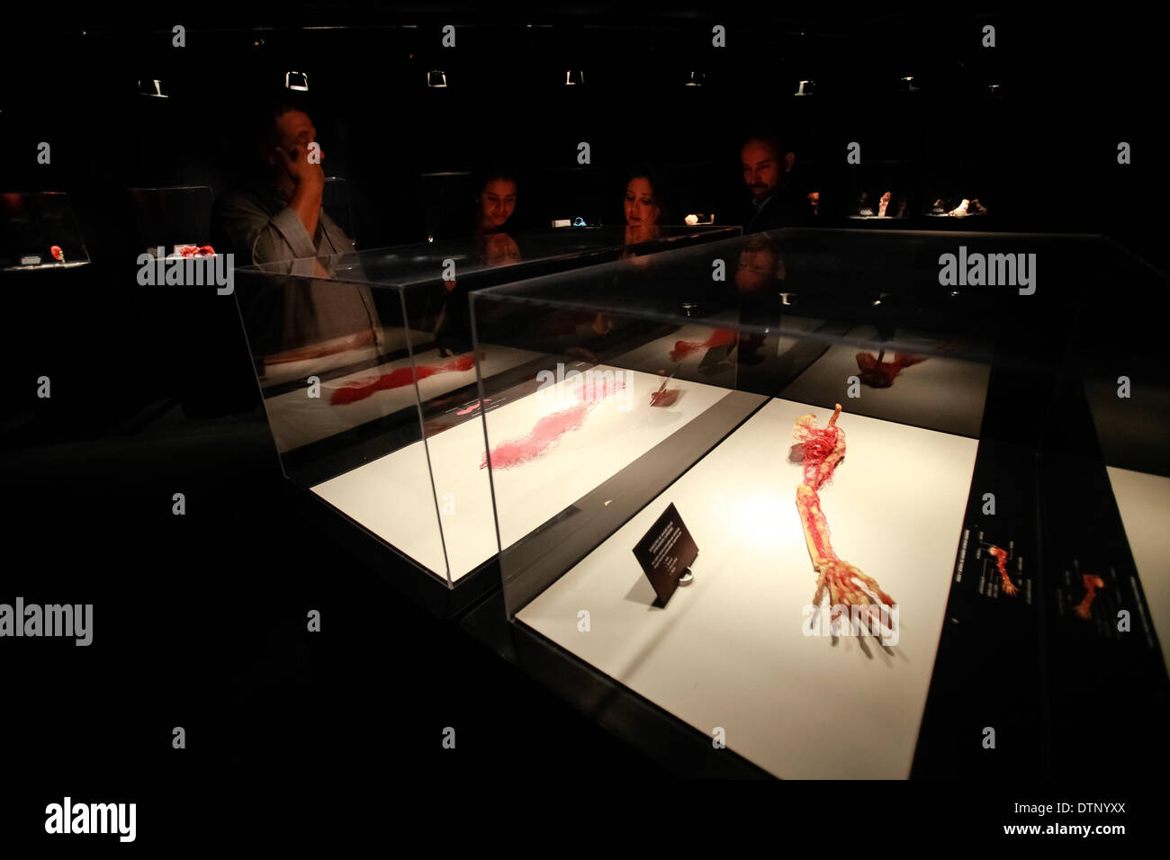 Bogota, Colombia. 22nd Feb, 2014. Visitors looks at parts of a human ...
