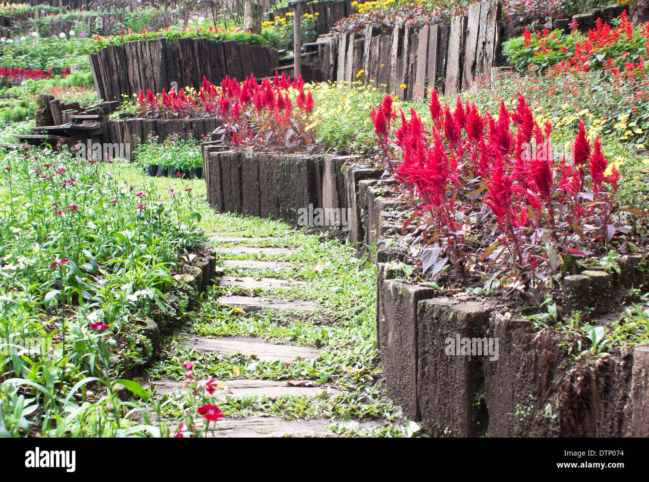 Ornamental Public Gardens and Bushes greenery and flowers Stock Photo ...