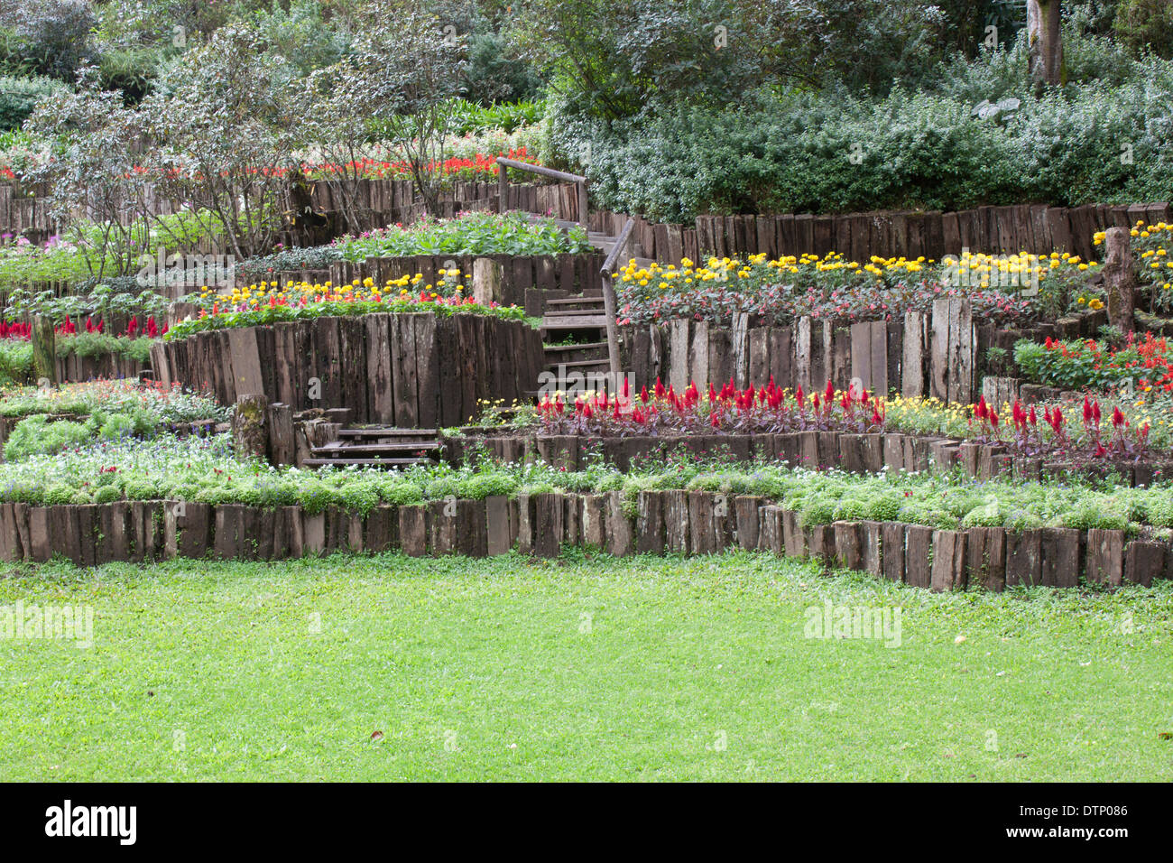 Ornamental Public Gardens and Bushes greenery and flowers Stock Photo ...