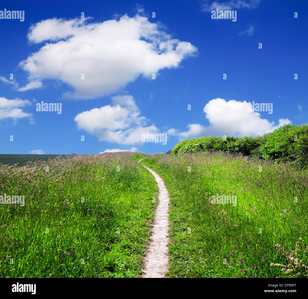 Silent path hi-res stock photography and images - Alamy