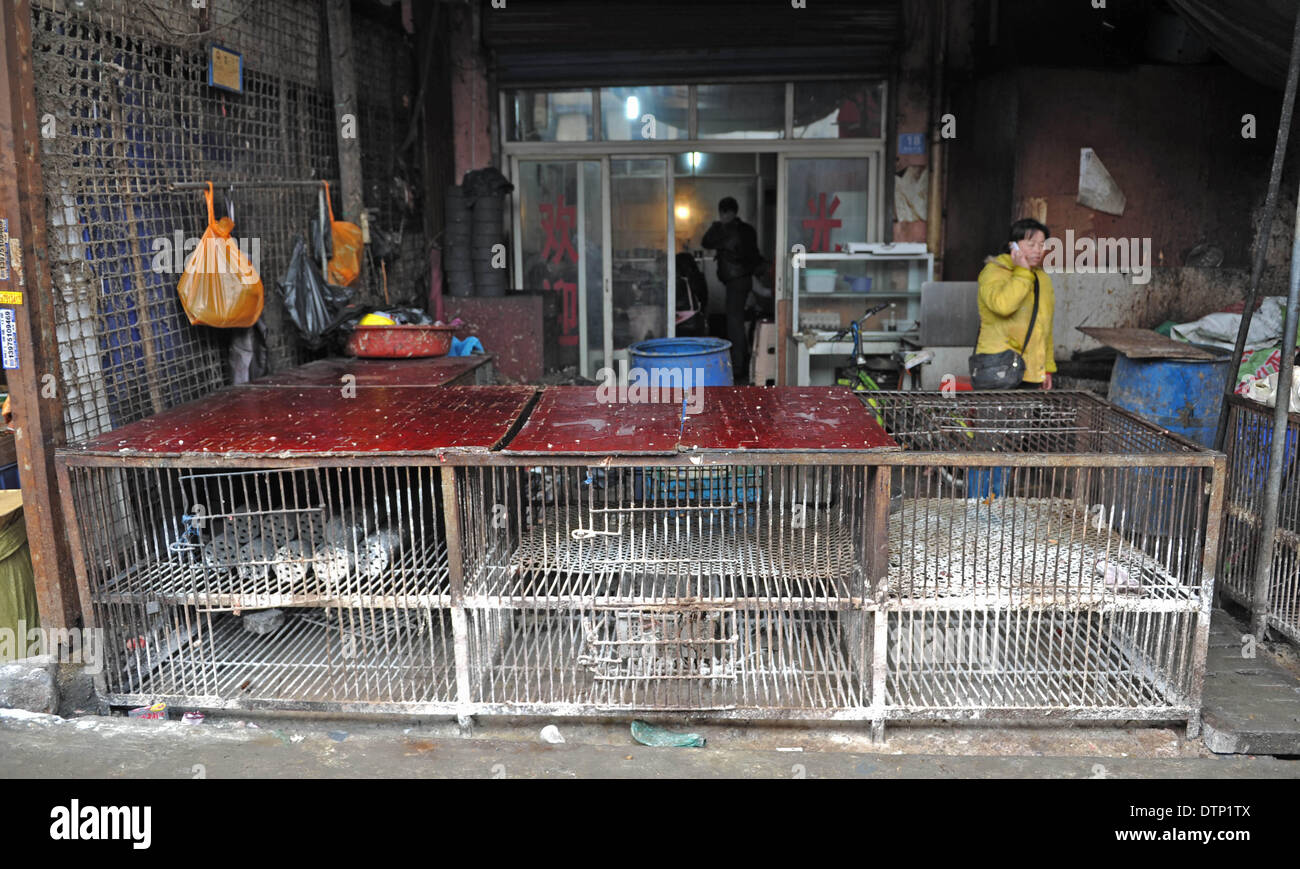 Human cages hi-res stock photography and images - Alamy