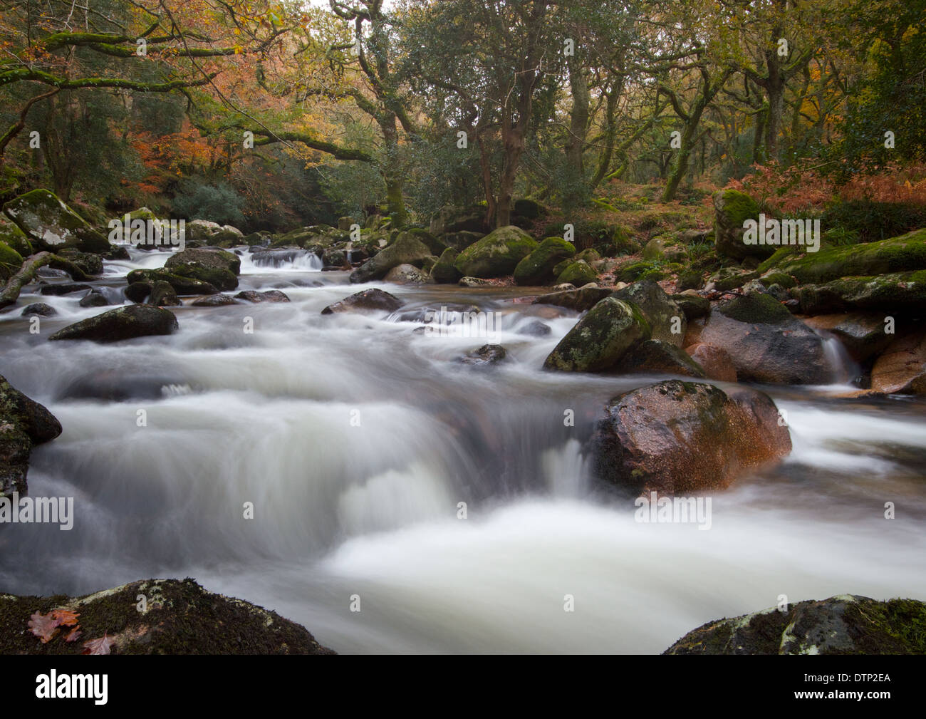 River Plym at Dewerstone on Dartmoor in England Stock Photo - Alamy