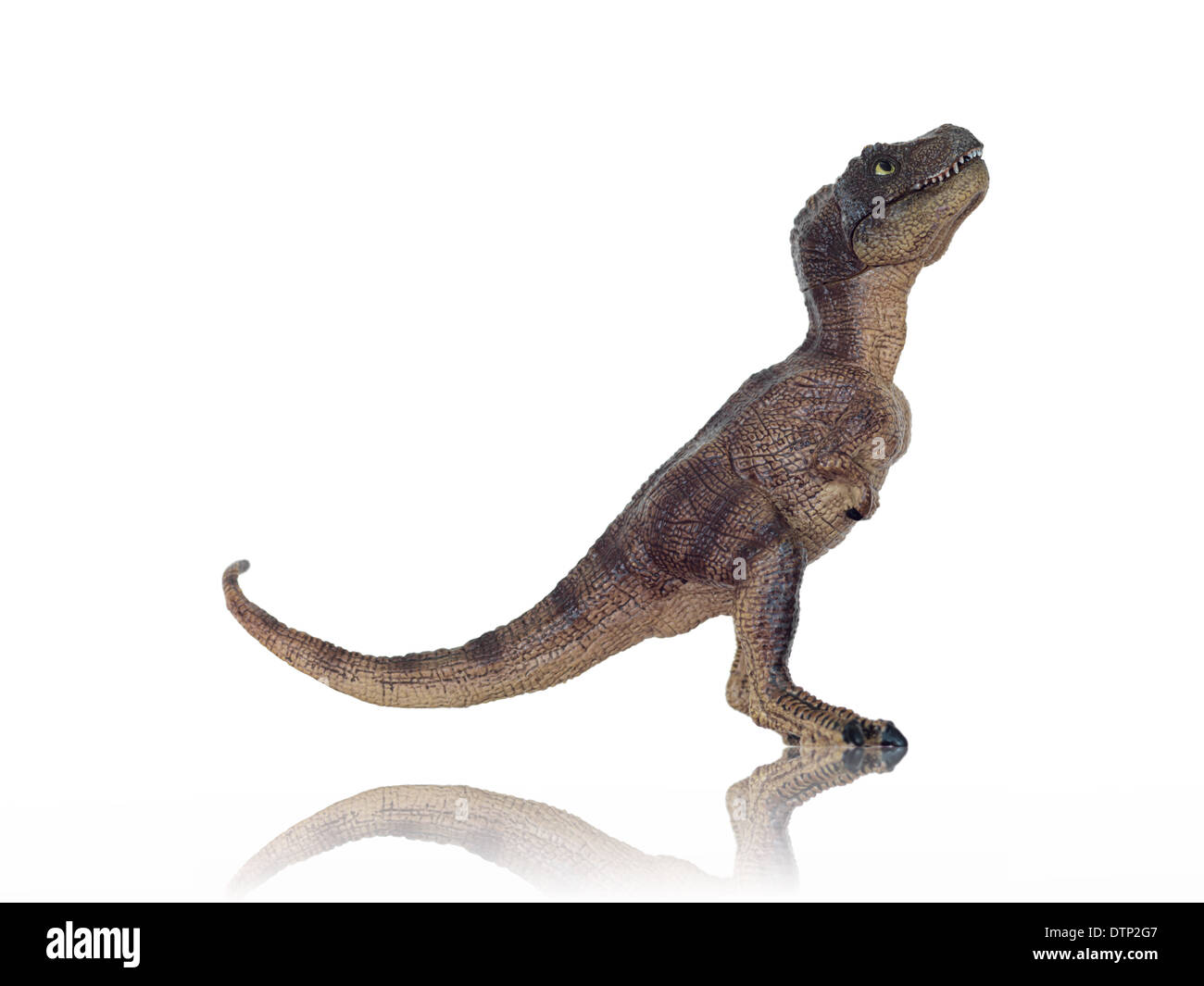 Animals toy hi-res stock photography and images - Alamy