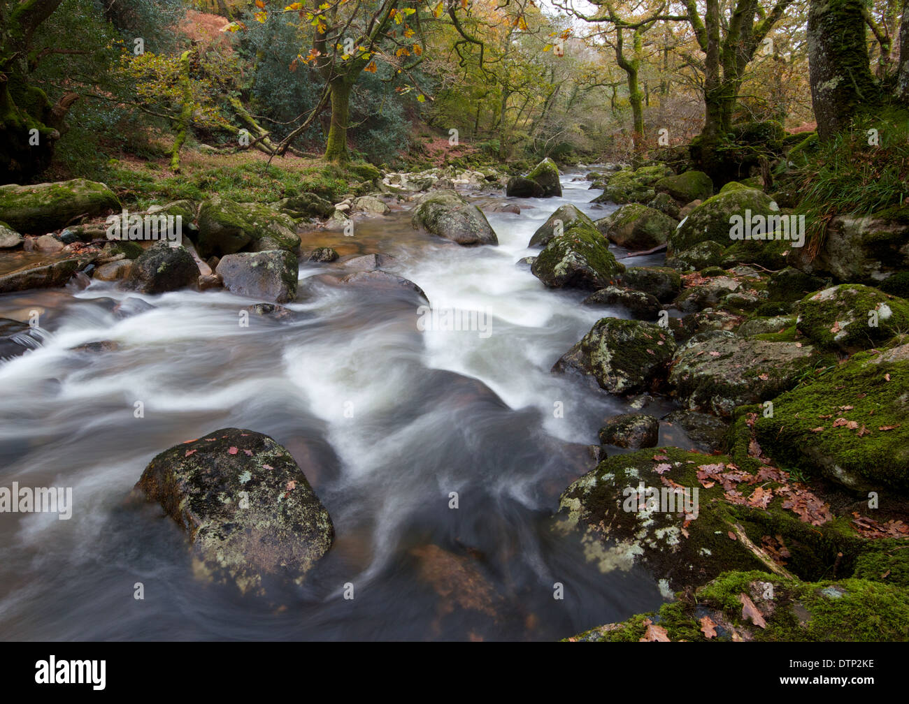 River Plym at Dewerstone on Dartmoor in England Stock Photo - Alamy