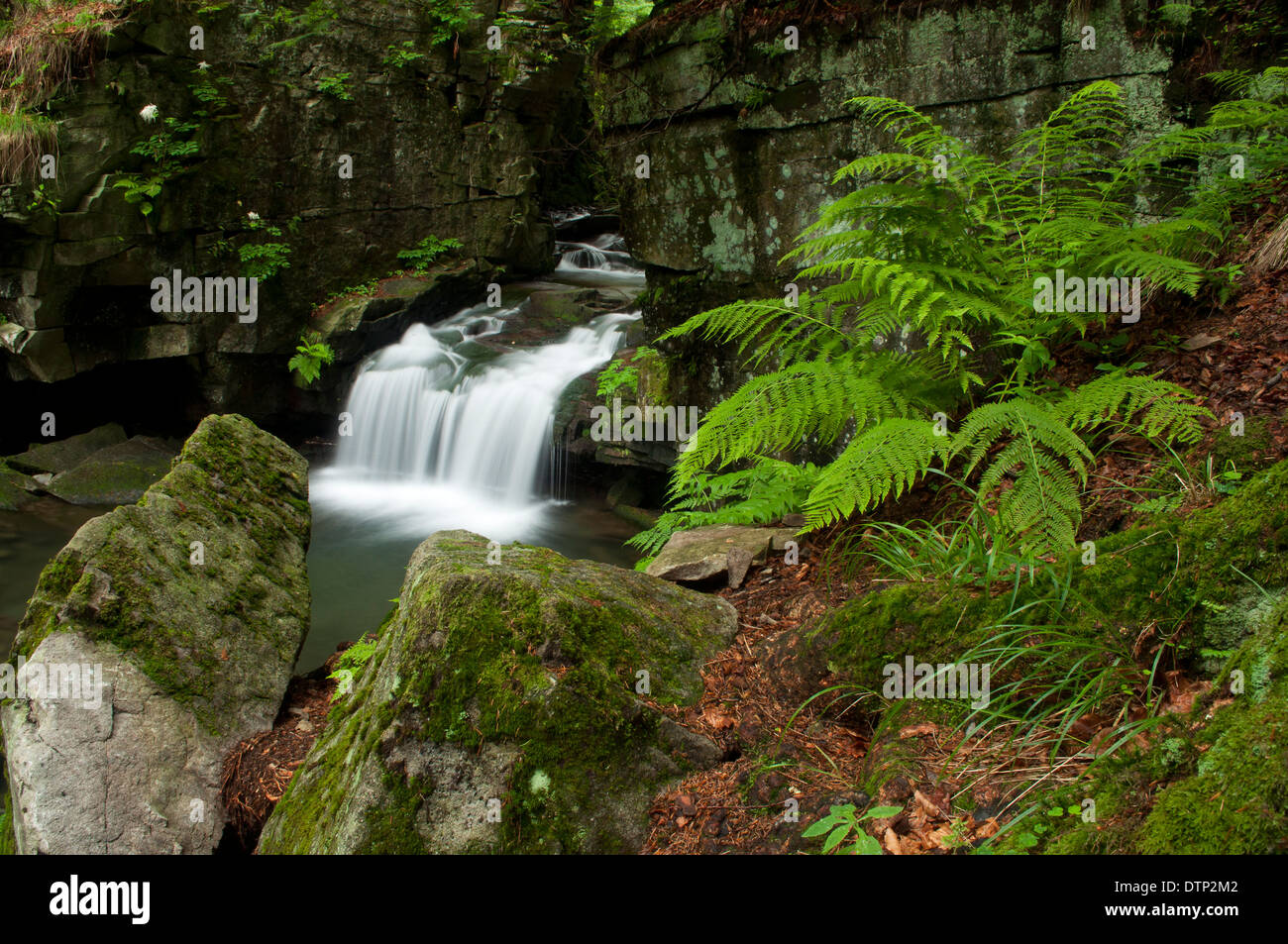 Satina hi-res stock photography and images - Alamy