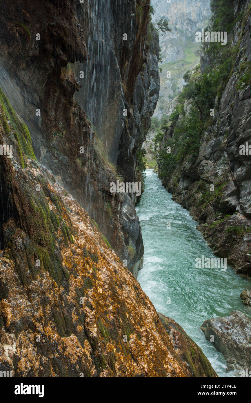 The gorge of river Cares, Picos de Europa National Park, León, Spain ...