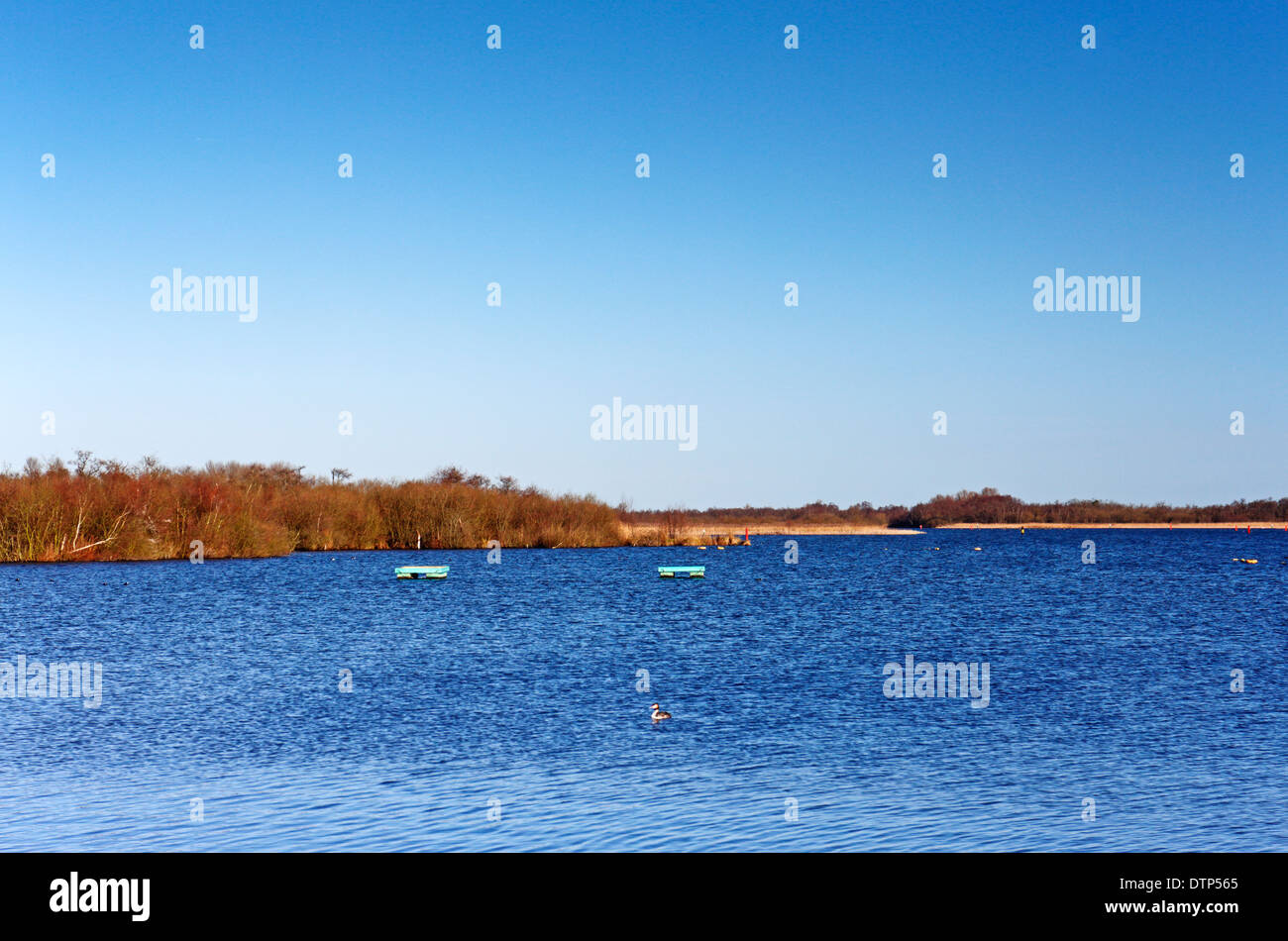 A view of Barton Broad national nature reserve on the Norfolk Broads ...
