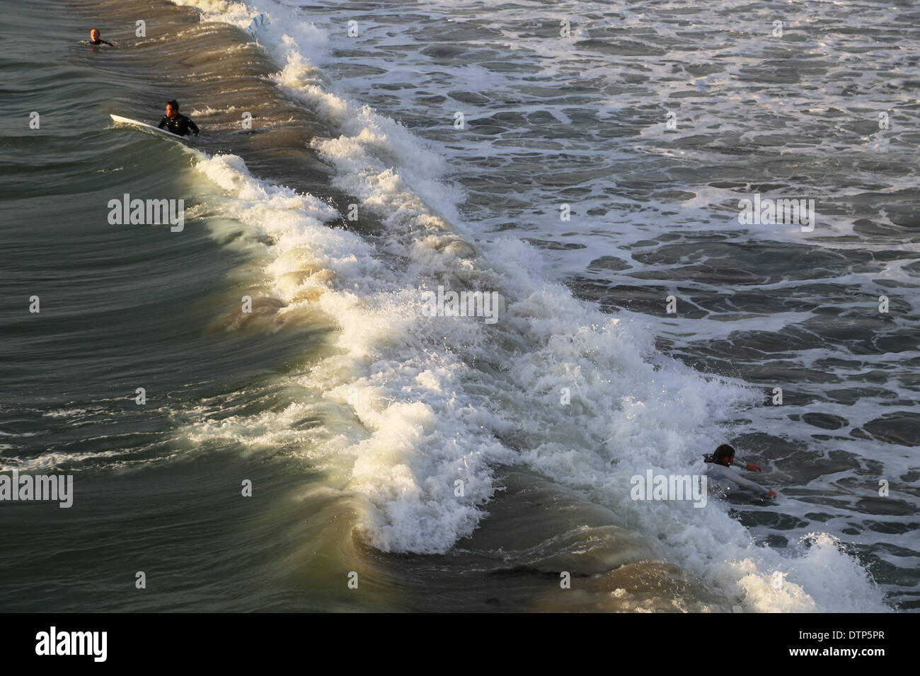 Surfers swimming to waves white foam venice beach hi-res stock ...
