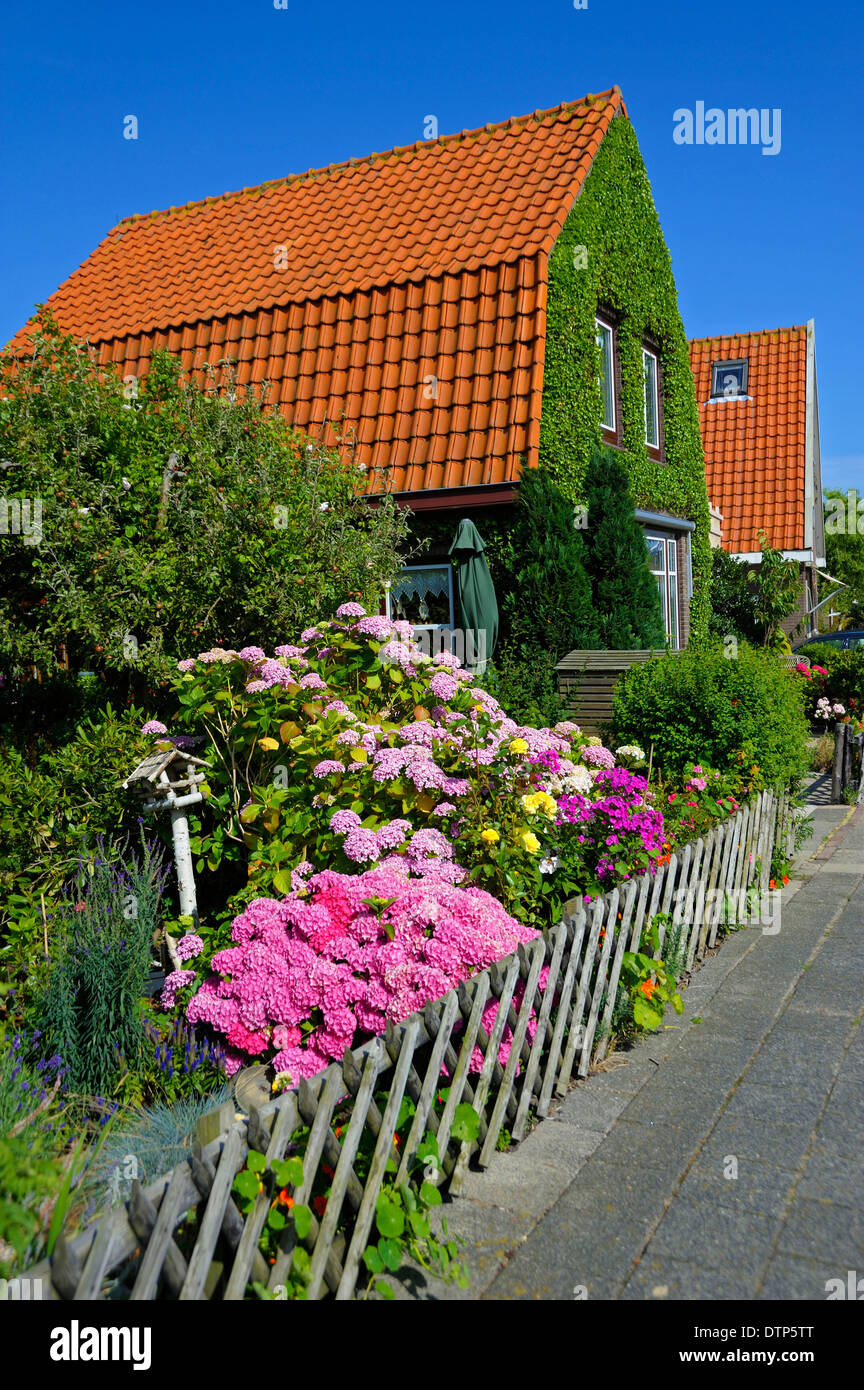 Oosterend texel hi-res stock photography and images - Alamy