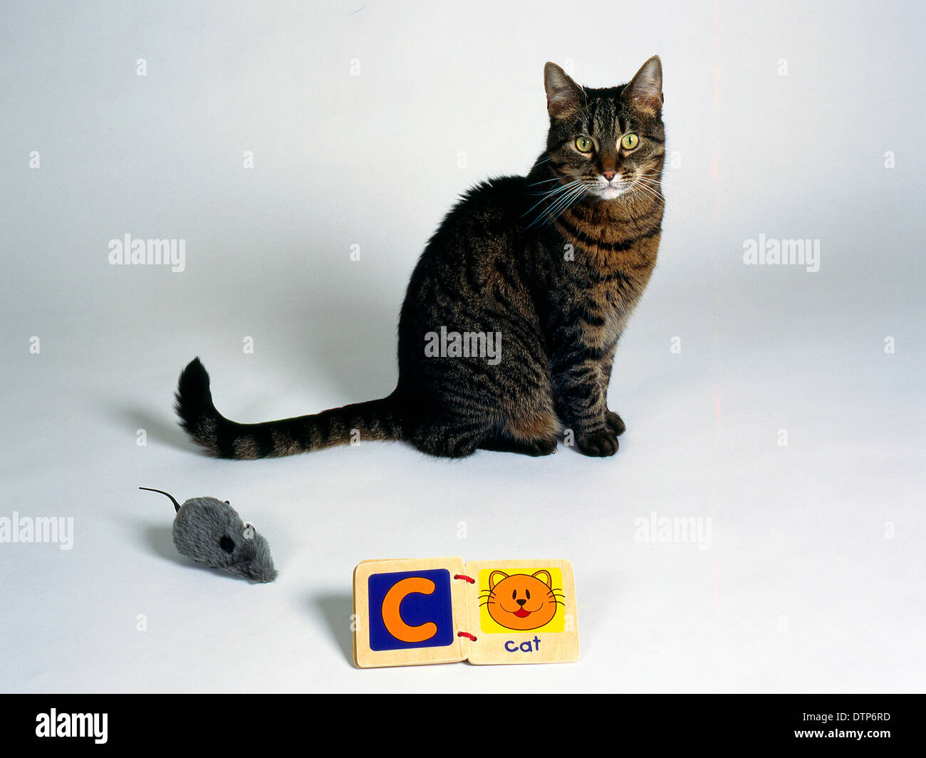 C is for Cat Stock Photo - Alamy