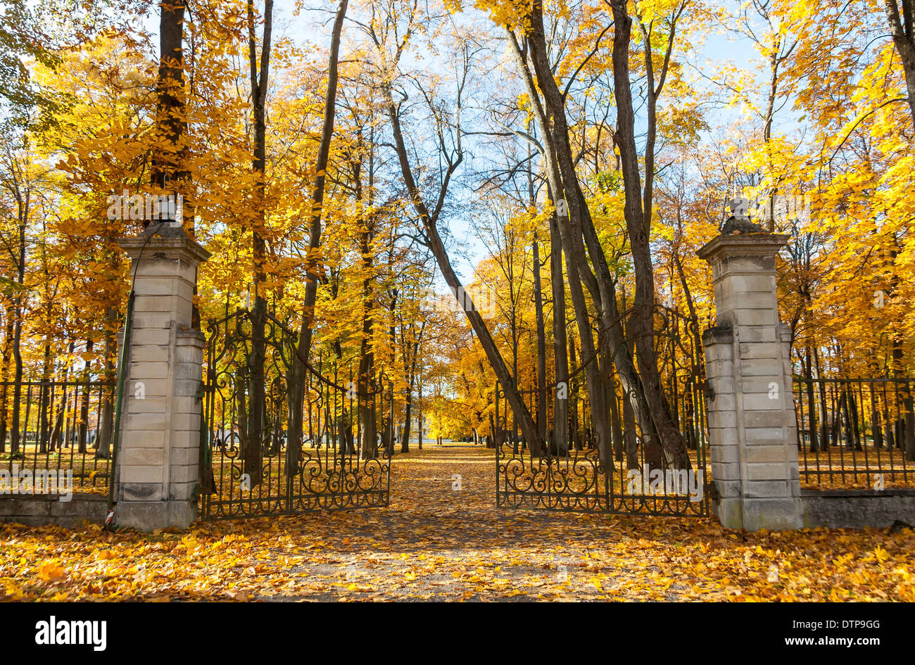 Old opened metal gateway in front of beautiful colorful park at autumn ...