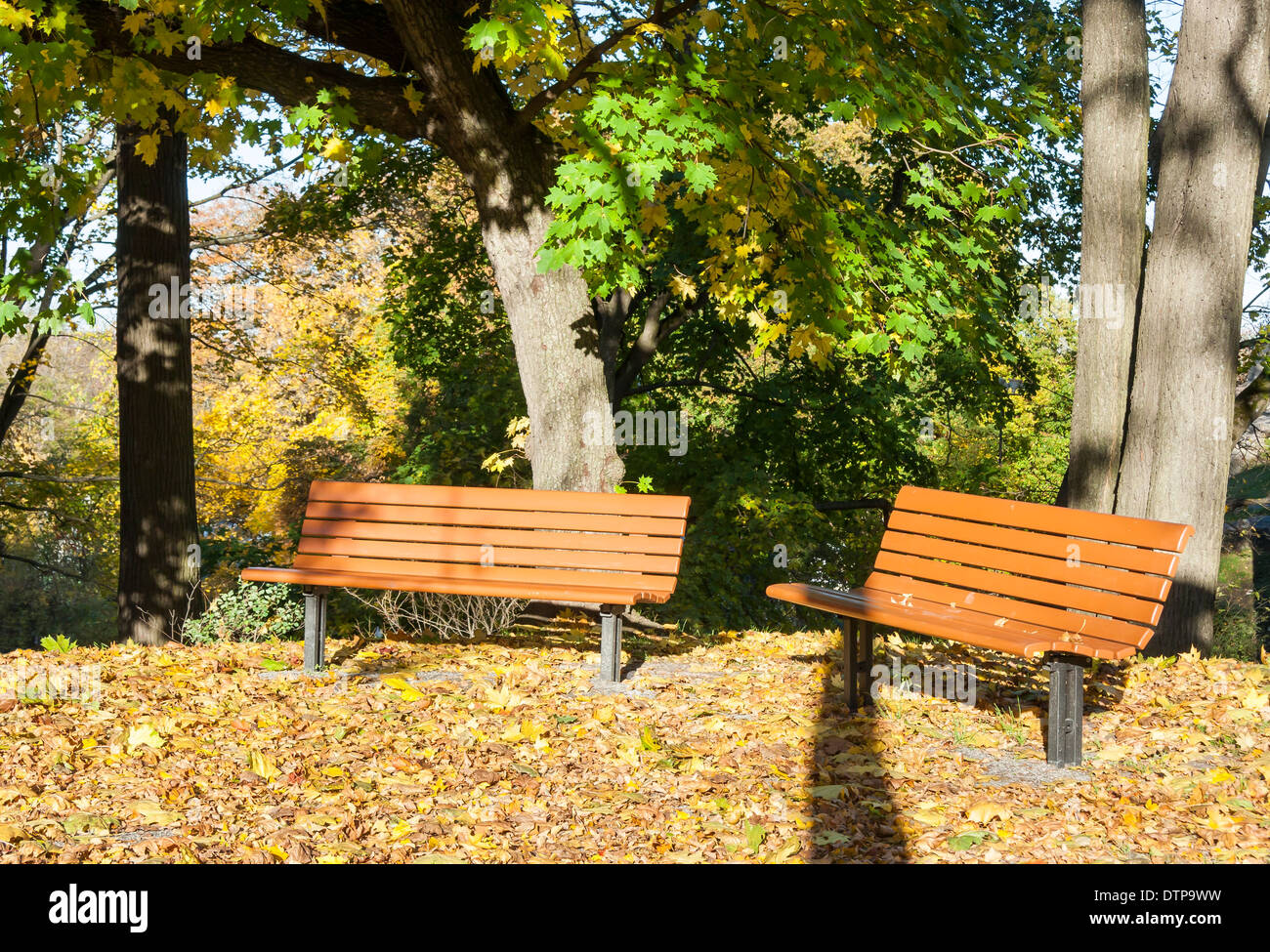 Orange benches hi-res stock photography and images - Alamy