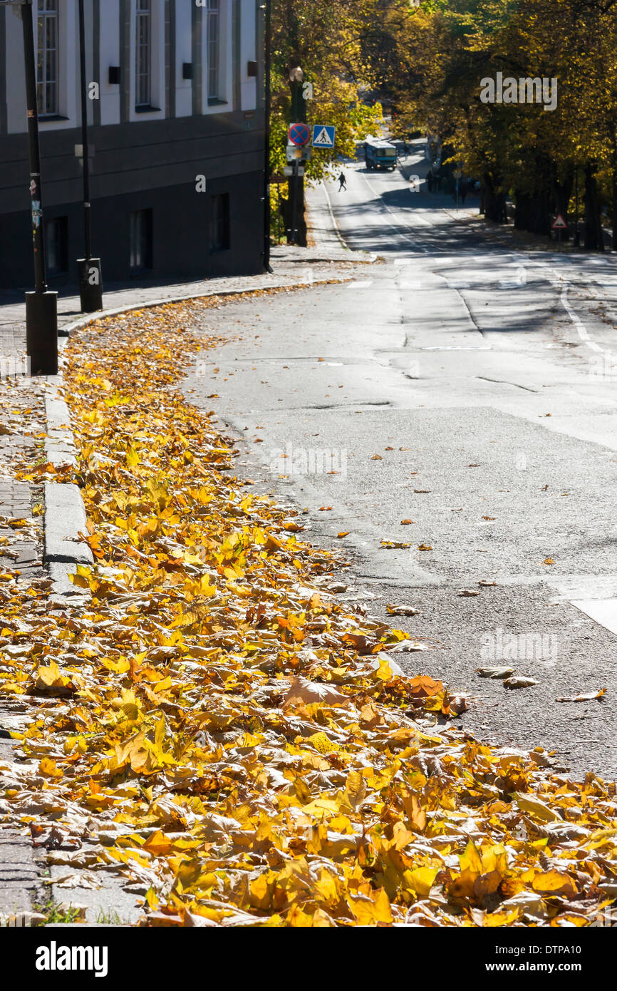 Yellow autumn leaves road hi-res stock photography and images - Alamy