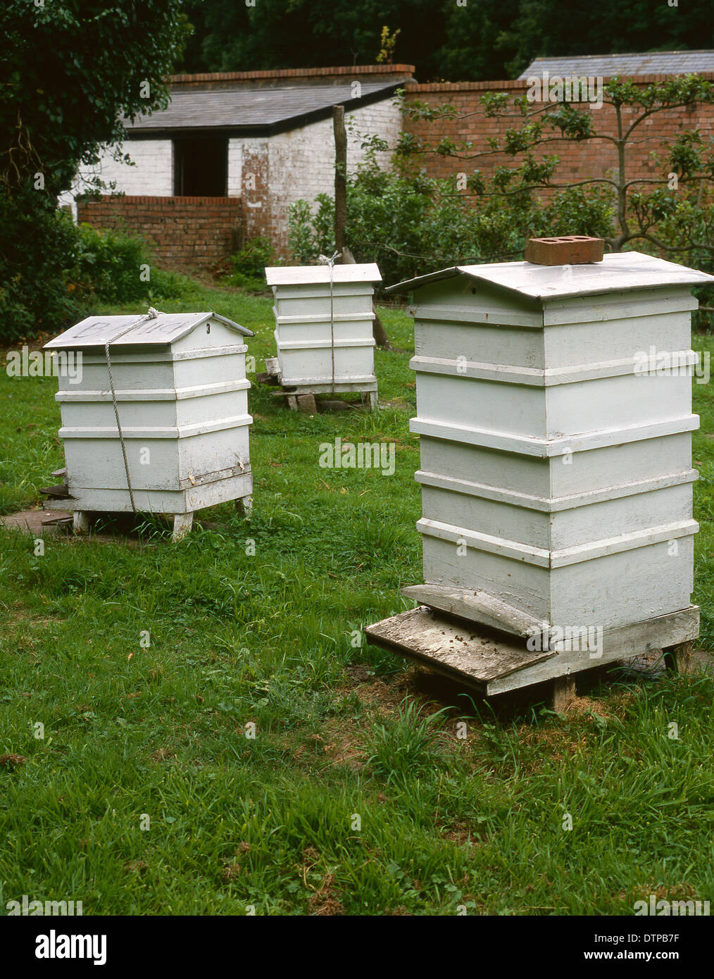 Traditional wooden beehives on a farm. honey collection honey comb ...