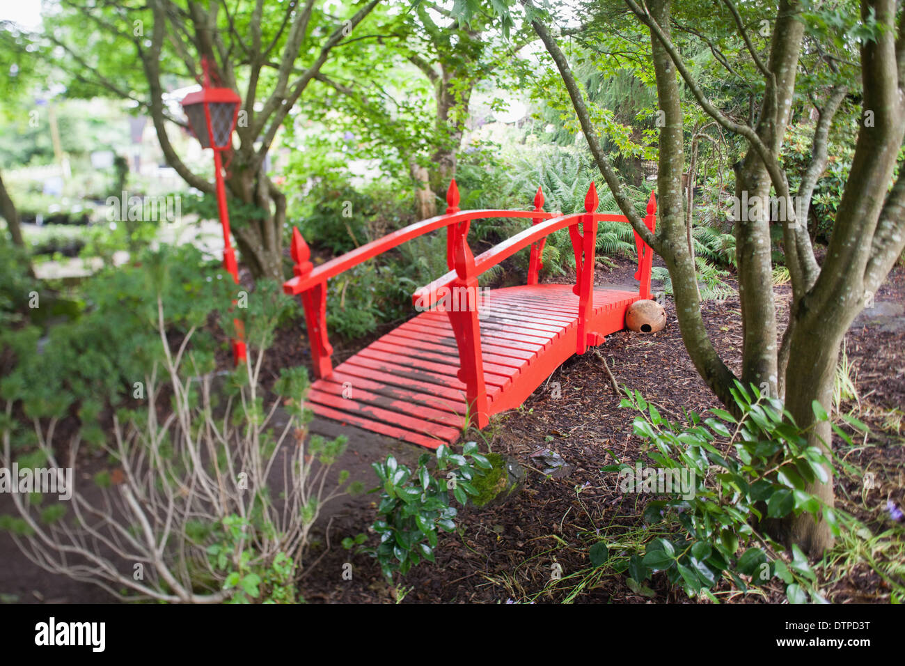 Red bridge in forest Stock Photo - Alamy