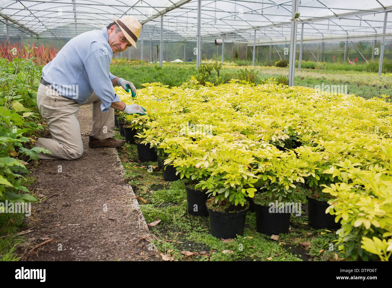 Spading hi-res stock photography and images - Alamy