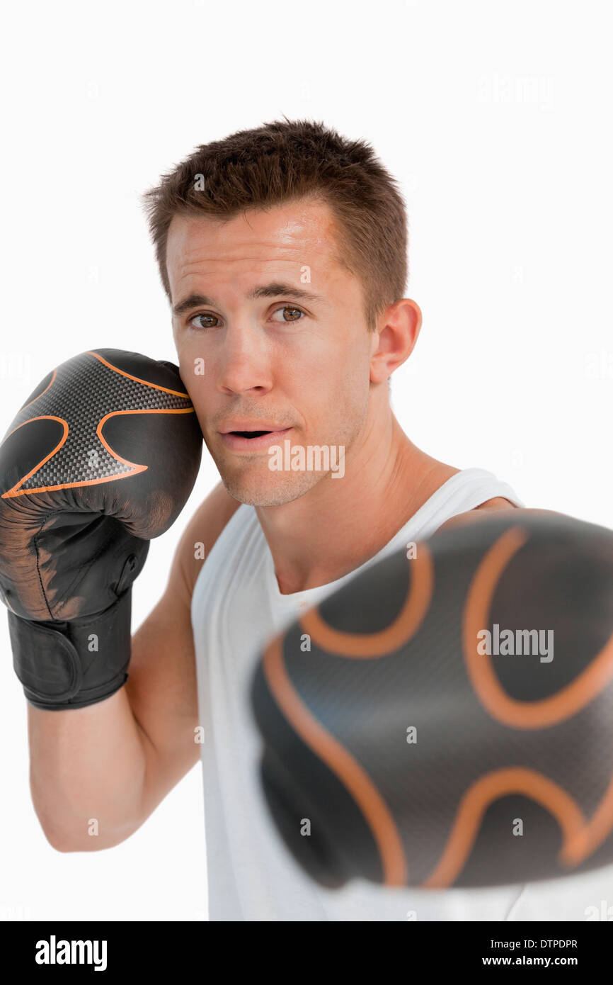 Boxer close up hi-res stock photography and images - Alamy