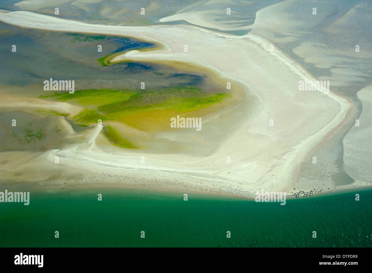 Sandbank, Island of Texel, Netherlands Stock Photo - Alamy