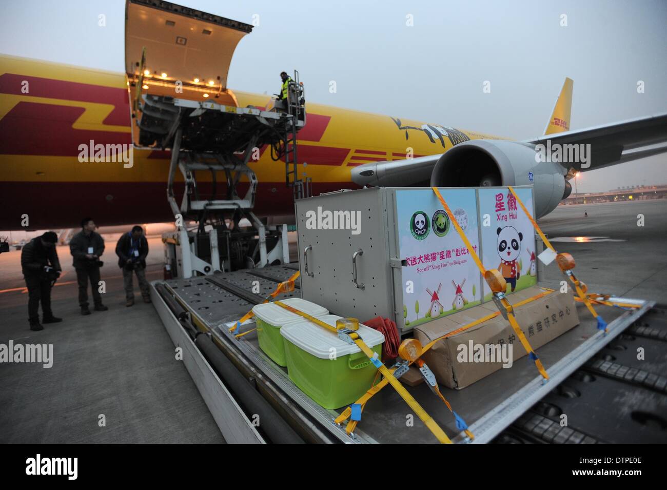 Chengdu, Sichuan, China. 22nd February 2014. The cage of giant panda ...