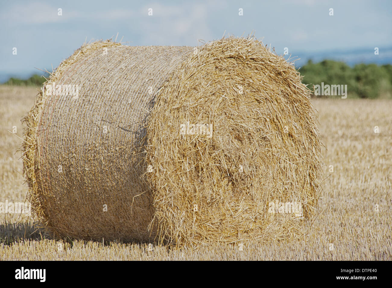 A Bale of hay Stock Photo - Alamy