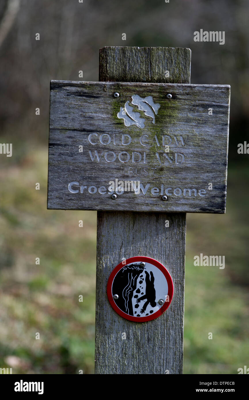 Welsh woodland hi-res stock photography and images - Alamy