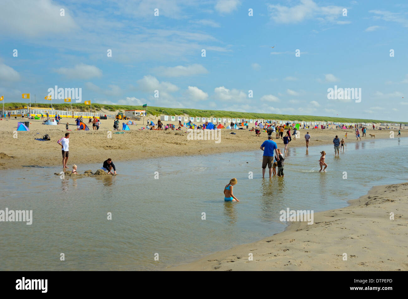 Texel island hi-res stock photography and images - Alamy