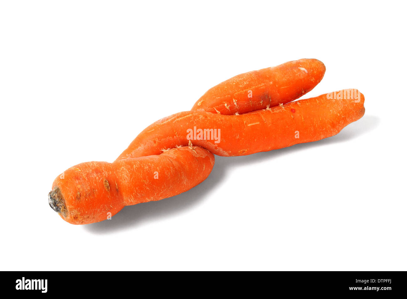 Weird double carrot on white background Stock Photo - Alamy