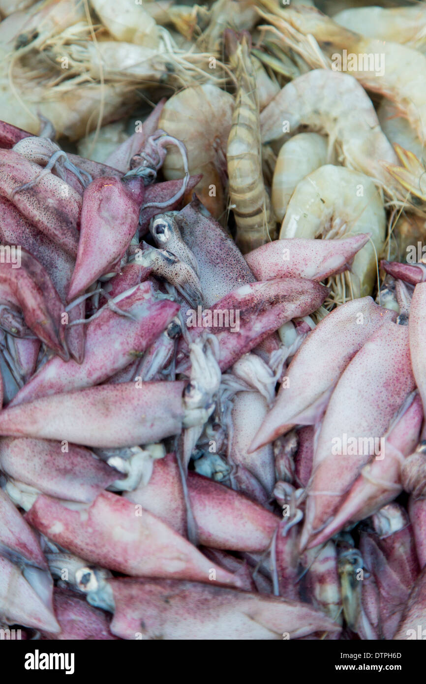 Fresh seafood raw shrimps squids hi-res stock photography and images ...