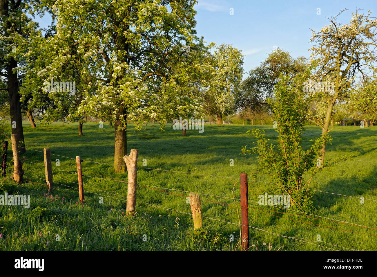 Lohnen hi-res stock photography and images - Alamy