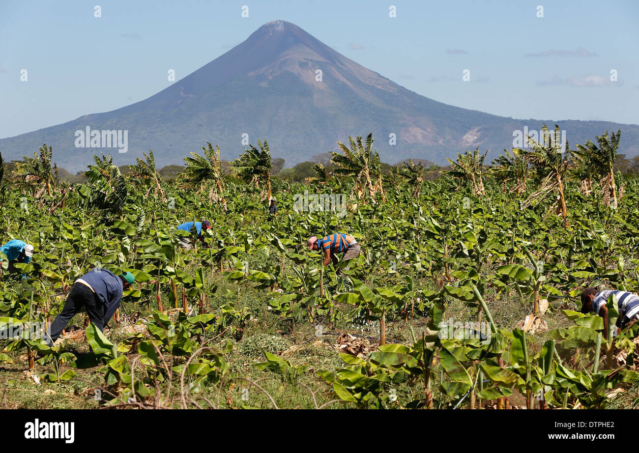 Field workers hi-res stock photography and images - Alamy