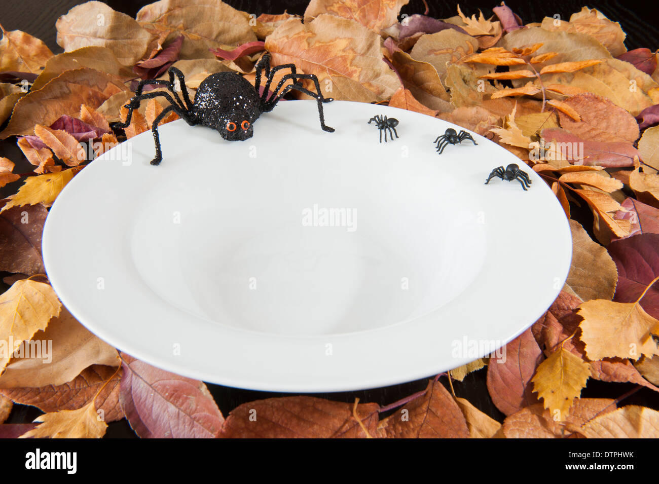 Halloween spiders sit on the edge of an empty white dish waiting for ...