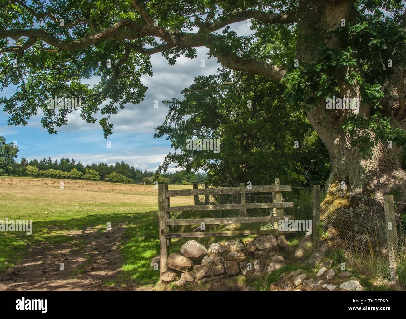 Green field with wooden fence and gate hi-res stock photography and ...